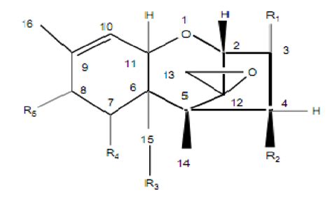 The General Structure Numbering System And Variable Side Groups Of