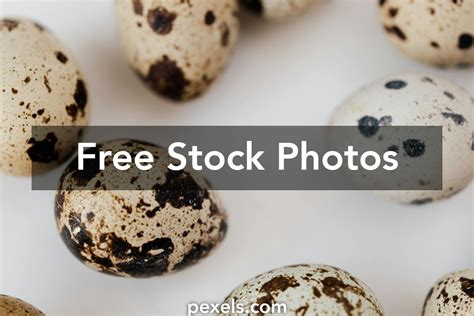 Small Patterns Photos Download The Best Free Small Patterns Stock