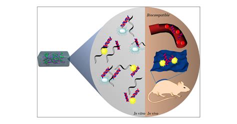 Peptide Supramolecular Hydrogels With Sustained Release Ability For