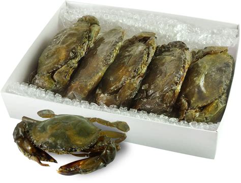 Frozen Soft Shell Mud Crab 360 Degree Agro Industries Private Limited