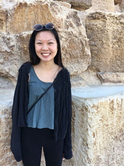 Three Phase Pulse Width Modulated Acdc Rectifier And Dcac Inverter