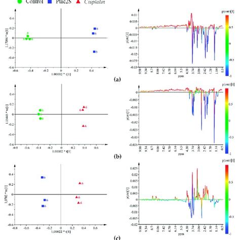 Opls Da Score Plot Left Panel And Corresponding Coefficient Plot Download Scientific Diagram