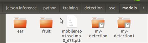 Jetson Nano Start The Docker An Error Occurred While Training Your Detection Model ：segmentation