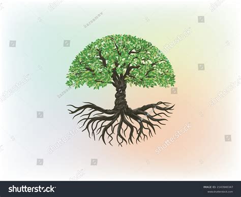 Tree Roots Circle Over 4 744 Royalty Free Licensable Stock Vectors And Vector Art Shutterstock