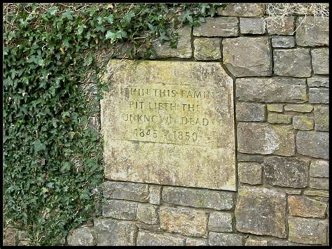 The Famine Pit And The Hanging Tree The Rambling Wombat