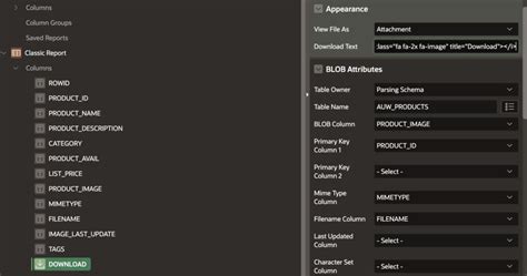 Efficiently File Download In Oracle Apex Ontoor Solutions Ontoor Blogs