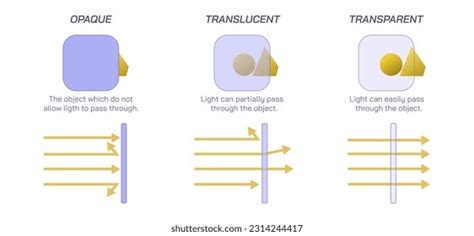 216 Reflection Of Light From Opaque Object Stok Vektörü Ve Vektör Sanatı Shutterstock