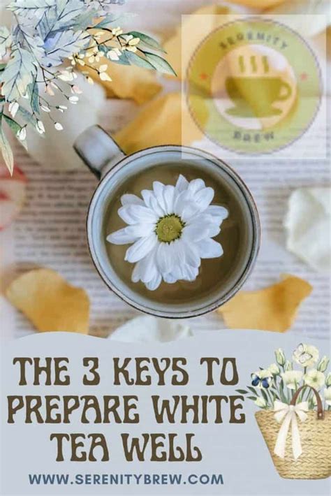 The 3 Keys To Prepare White Tea Well Serenity Brew