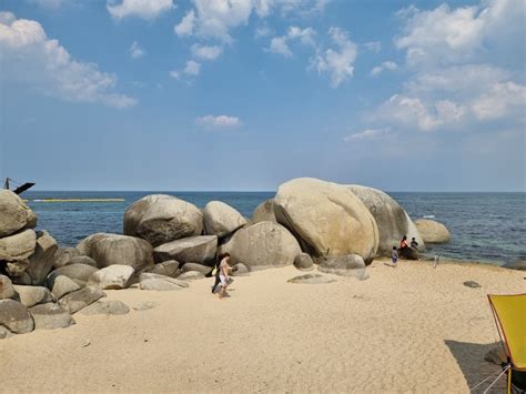 해수욕장 개장 강릉 속초 양양 동해 고성 삼척 동해안권 일정 네이버 블로그