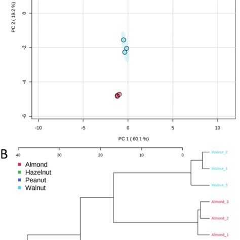 Principal Component Analysis Pca Scores Plot A And Hierarchical