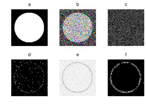 The Noisy Circle Experiment Download Scientific Diagram