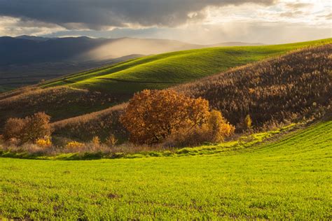 Cucumber And Bdd First Line Software