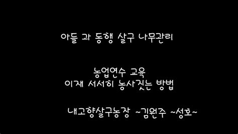 살구농장 살구재배 방법 갈처주고 Youtube