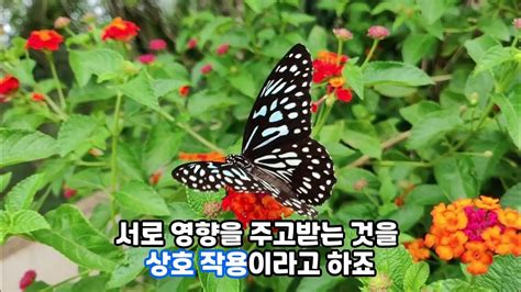 생태계와 상호작용 1생태계의 구성요소 Youtube