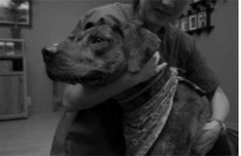 Cp Lecture Midterm Exam Flashcards Quizlet