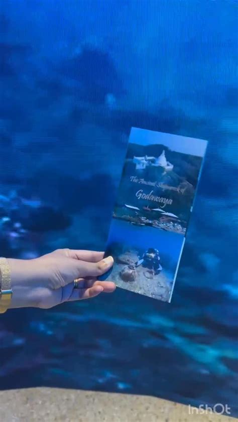 U S Embassy Colombo Visa Applicants Are Required To List All Social Media Usernames Or