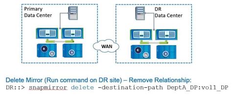 netapp snapmirror data protection dp mirrors tutorial flackbox