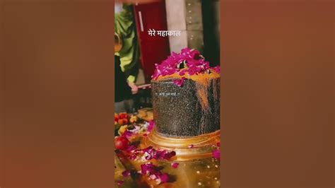जो महादेव को चाहे उसे कोई फर्क नहीं पड़ता🔱🙇🙇🙇🙏🙏🙏mahadev Mahakal Shiv