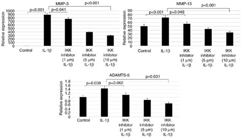 Levels Of Mmp 3 Mmp 13 And Adamts 5 Mrna Following Il 1β Stimulation Download Scientific