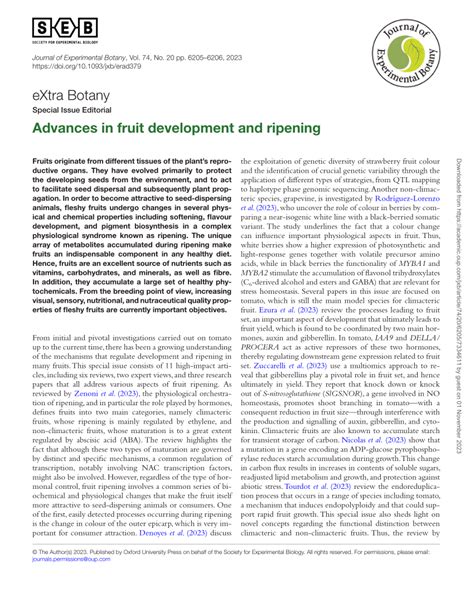 Pdf Special Issue Editorial