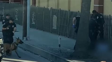 ВИДЕО Полицијата во САД уби Афроамериканец со ампутирани нозе Пред тоа избодел маж