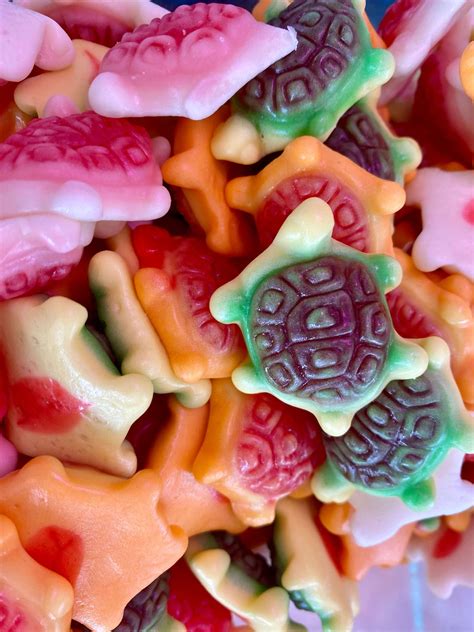 Cute Gummy Candy Turtles 4oz Sweet And Delicious Nantasket Sweets By Swedes