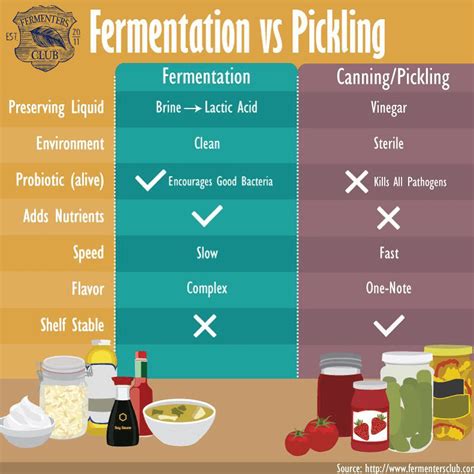 Fermentation Vs Pickling Fermenters Club