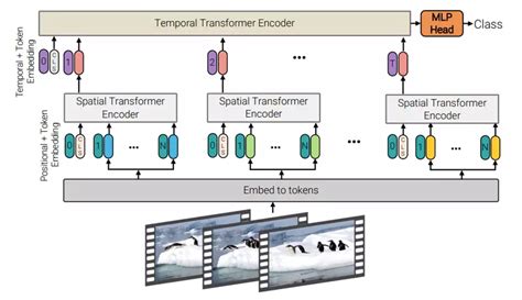 Paper Reading Vivit A Video Vision Transformer