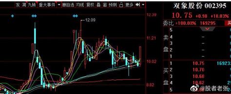 双象股份 sz002395 涨停 财富号 东方财富网