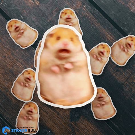 5 Pack Scared Hamster Meme Sticker Funny Gerbil Meme Bogo Etsy