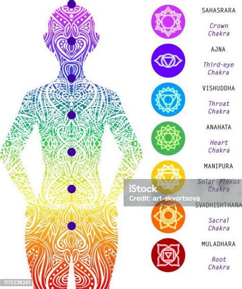 일곱 차크라 포인트 에너지 몸 요가 명상 본문에 다른 차크라의 위치 루트 배꼽 태양 신경총 심장 목구멍 제 3의 눈 크라운 기본 인간의 차크라 시스템 차크라에 대한 스톡