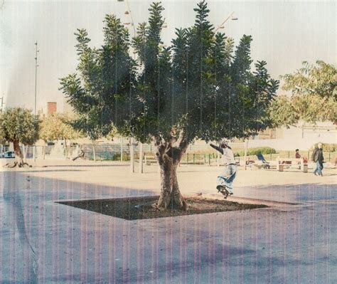 Vanessa Konte Vans Es