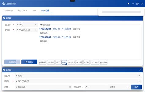 Github Hebianguwpf Tool Wpf开发的小工具tcpudp等