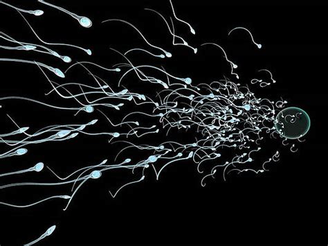 Impregnation Art For Sale Fine Art America