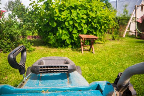 현대 정원이나 뒤뜰의 푸른 잔디에 잔디 발동기 잔디밭을 자르는 기계 원예 관리 도구 및 장비 잔디 다듬기 과정 0명에 대한 스톡 사진 및 기타 이미지 Istock