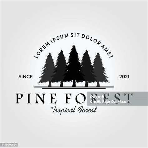 레트로 포레스트 파인 트리 야외 야생 벡터 일러스트 레이 션 디자인 빈티지 0명에 대한 스톡 벡터 아트 및 기타 이미지 0명 가문비나무 강 Istock