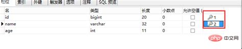 how to set the joint primary key in navicat navicat php cn