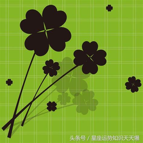 揭秘12星座各自的幸運數字選數字得幸運快來看看吧上 每日頭條
