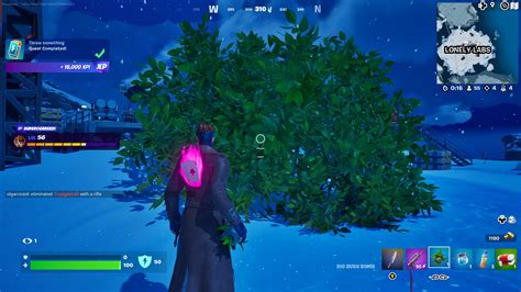 How To Hide In Bushes That You Threw Down In Fortnite