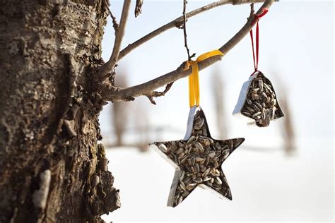 Vogelfutter Selber Herstellen Servus