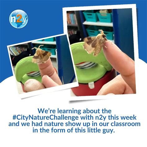 Jeffrey Mccready Posted On Linkedin