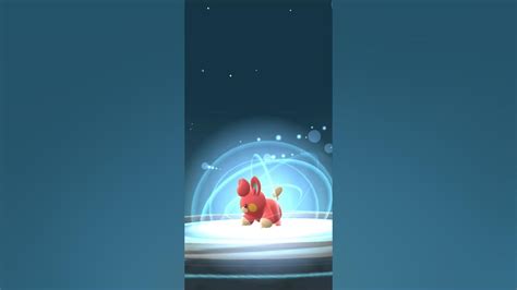 Shiny Pawmo Evolution Pokémon Go Shinyevolution Shinyhunting