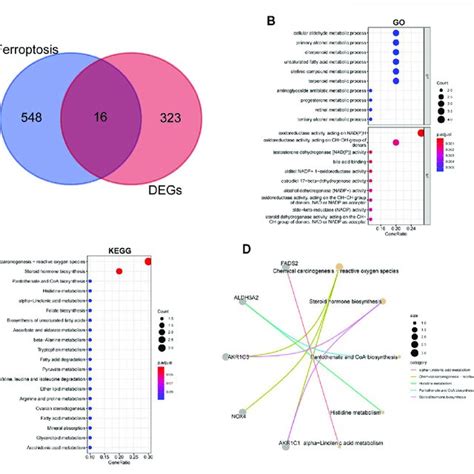 Function Enrichment Analysis Of Key Degs A Heatmap Display Of Top50 Download Scientific