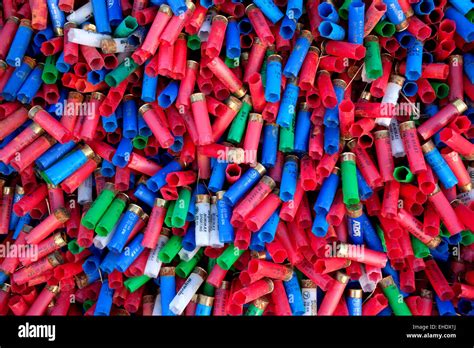 Shotgun Shell Sizes Comparison Chart And Commonly Used 42 Off