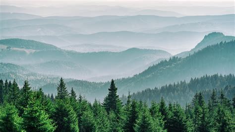 „Гръцка” зима през първата половина на декември Nova