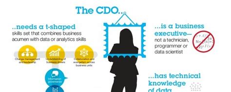 Infographic The New Hero Of Big Data And Analytics The Chief Data Officer Dataconomy