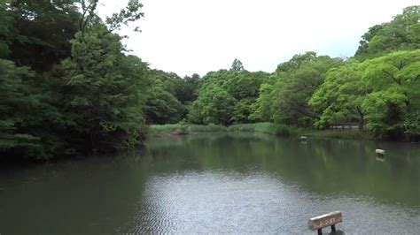 番外編鴨池公園に行ってみた後編 YouTube
