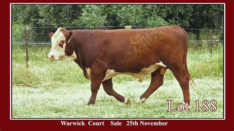 Lot 188 Youtube
