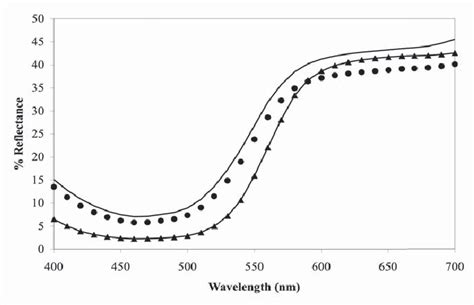 Representative Reflectance Spectra Calculated From The Average Download Scientific Diagram