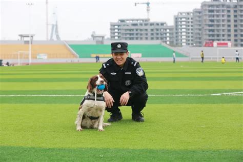 鸢都警犬我的无言战友麦兜